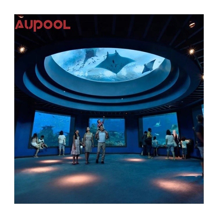 Cast Acrylic Panel Style 8M Long In-Ground Pool Large Portable Endless ...