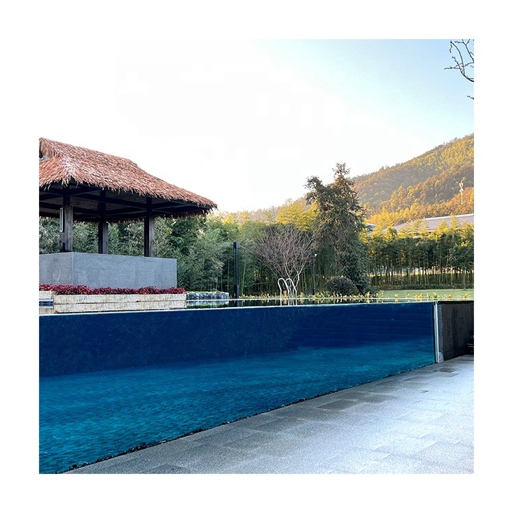 Outdoor Aboveground Infinity Swimming Pool Fiberglass Lucite Acrylic ...